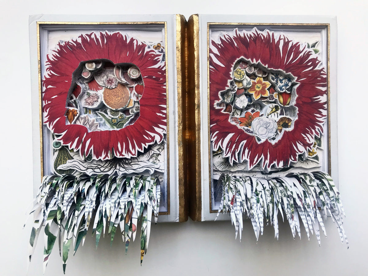 Coronus Imperialis by James Allen – 23 Sandy