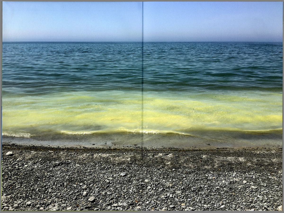 where steps stop by Marlene MacCallum – 23 Sandy