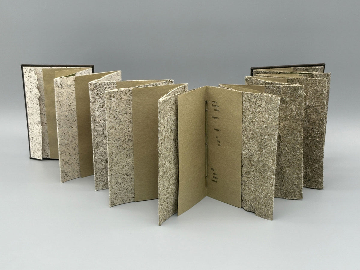 tempted by Erin K. Schmidt – 23 Sandy