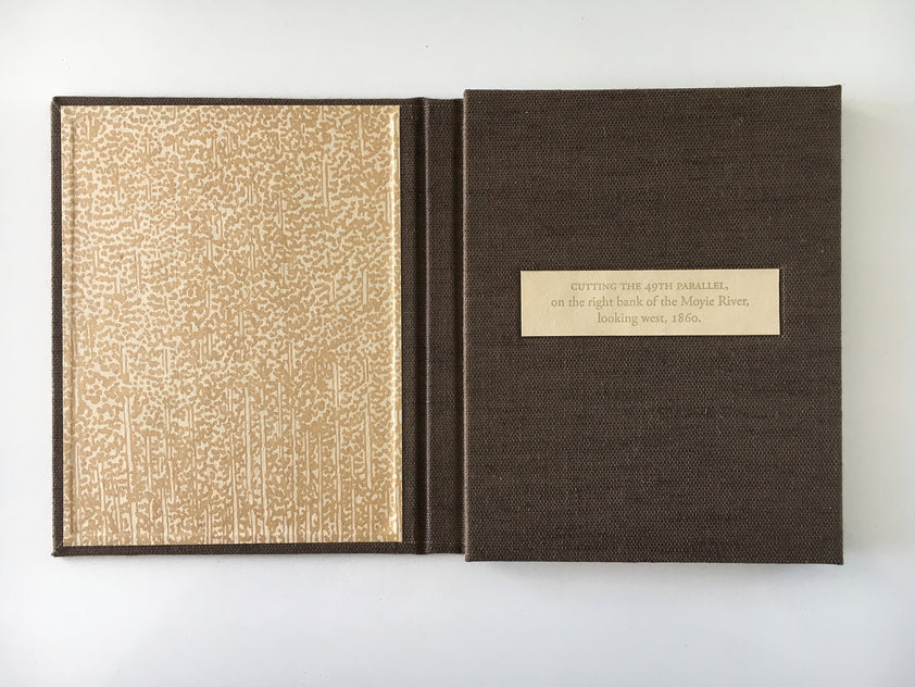 History of a Felling by Anne Covell – 23 Sandy