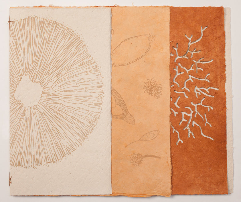 Under the Forest Floor by Jill Powers – 23 Sandy